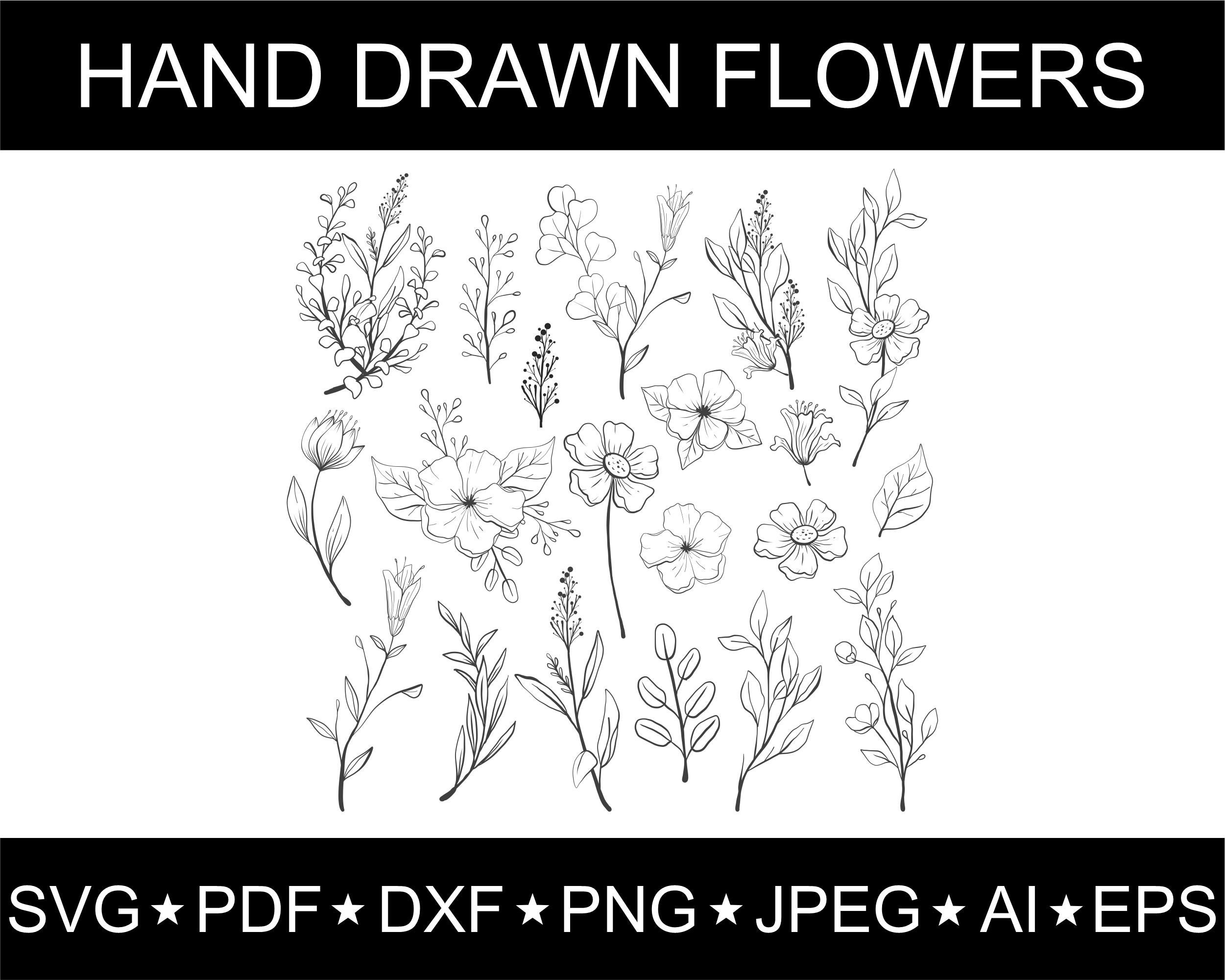 Botanical Hand Drawn Flower Clipart Svg Floral Leaves Wedding Plant ...