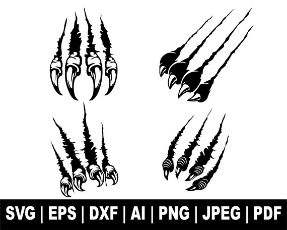 Panther Paw Claw Marks
