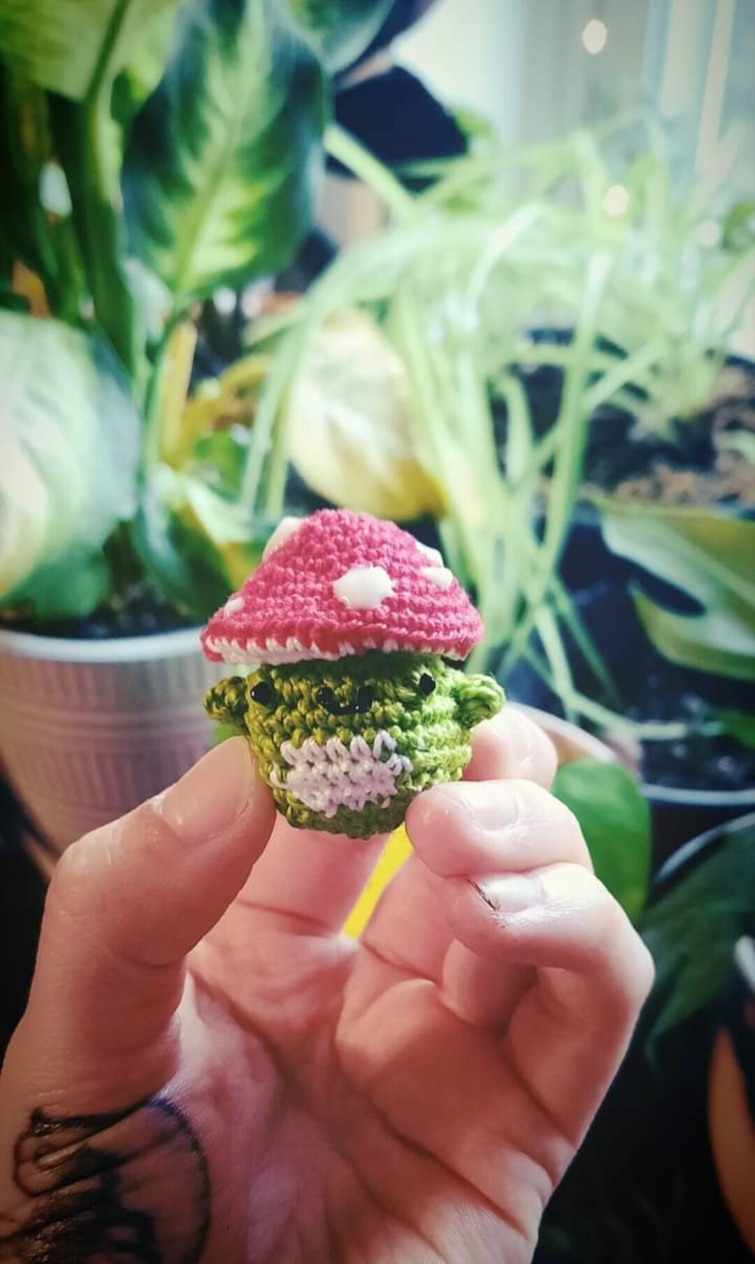 Crochet Mini Pop up Mushroom Frog - Etsy