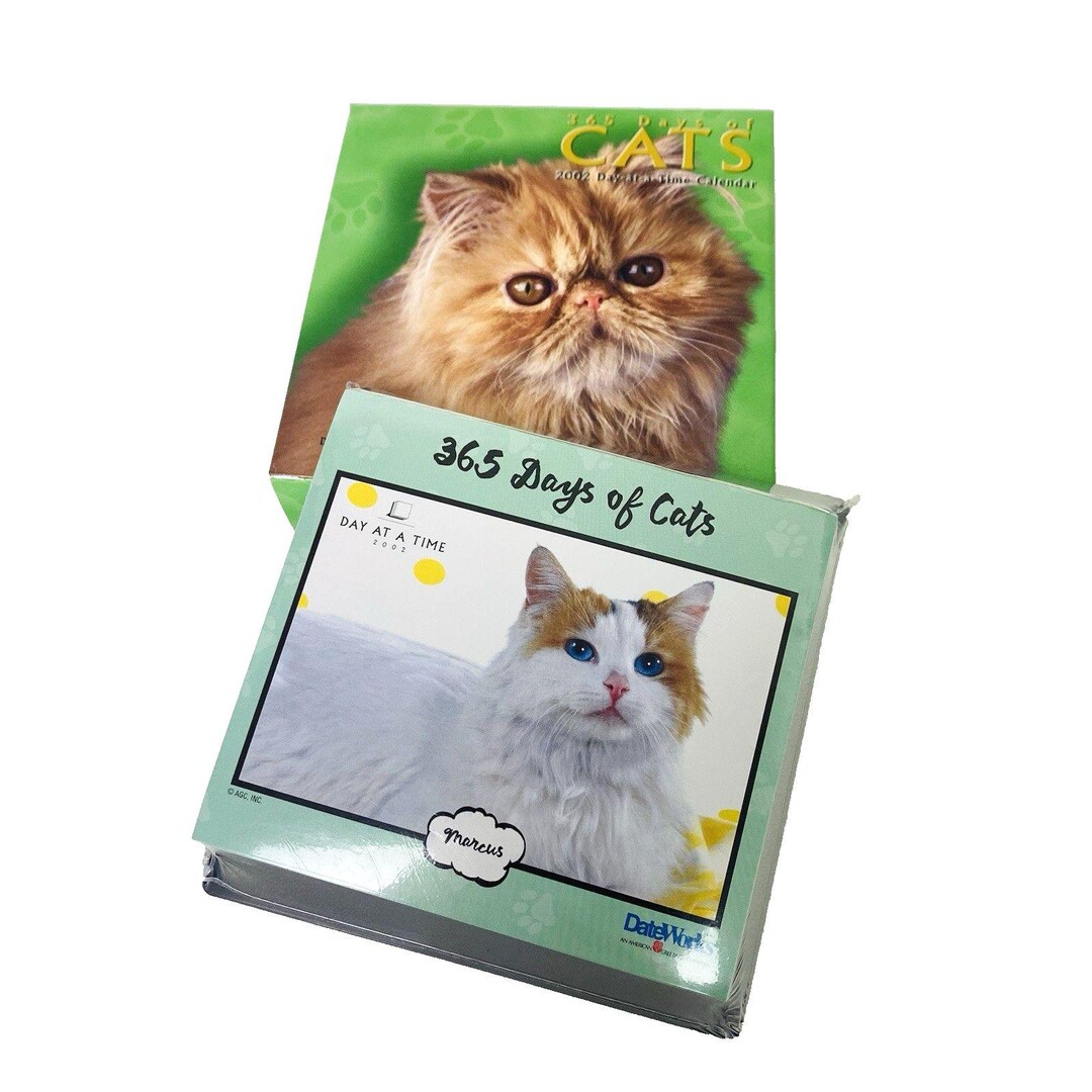 365 Days of Cats Kittens 2002 Day at a Time Desk Calendar Feline by ...