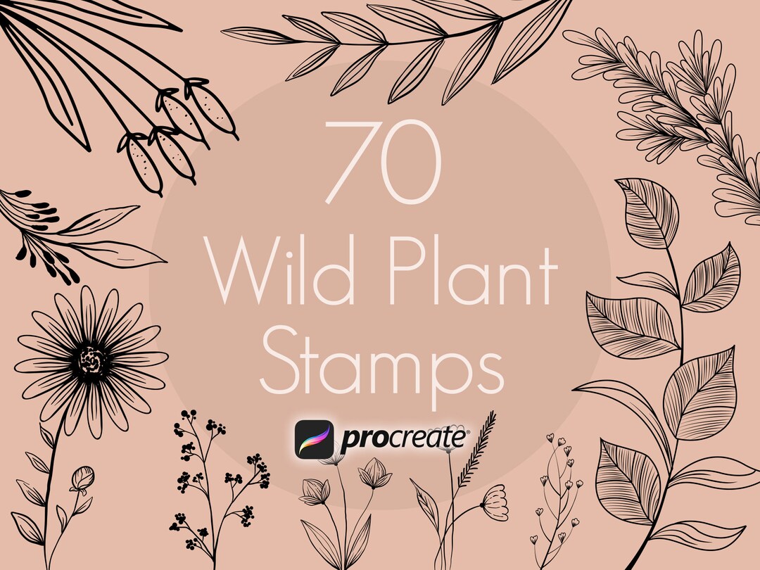 Procreate Wildflower Stamp Bundle | Procreate Flower Stamps | Procreate ...