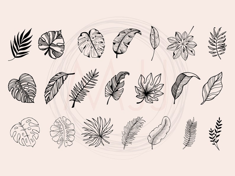 Tropical Leaves Svg Bundle Leaves Svg Bundle Boho Leaves - Etsy