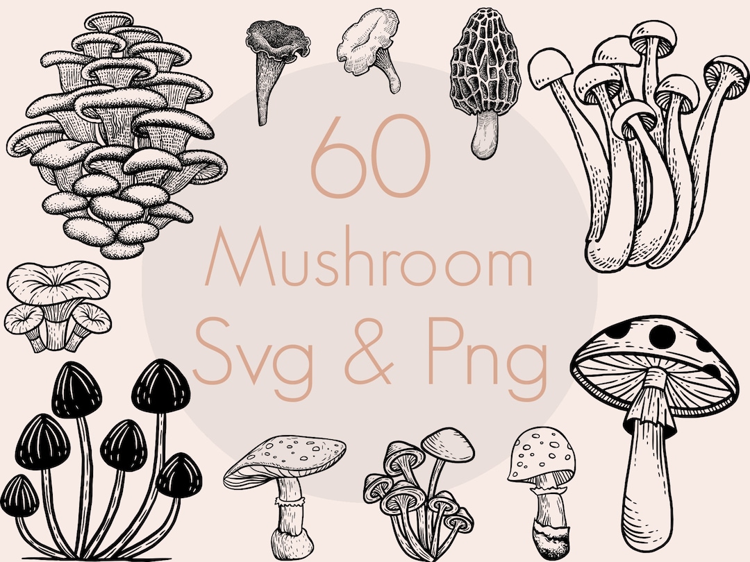 Mushroom Svg Bundle | Fungus Svg Bundle | Mushroom Clipart | Fungus ...
