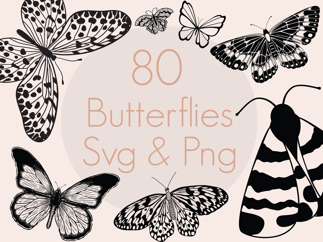 Butterfly & Moth SVG Bundle: 80 Clipart Designs (commercial Use) - Etsy