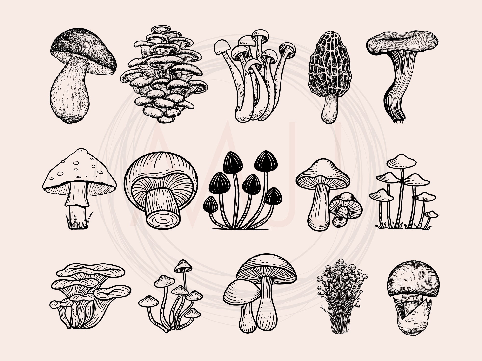 Mushroom Svg Bundle Fungus Svg Bundle Mushroom Clipart - Etsy Canada