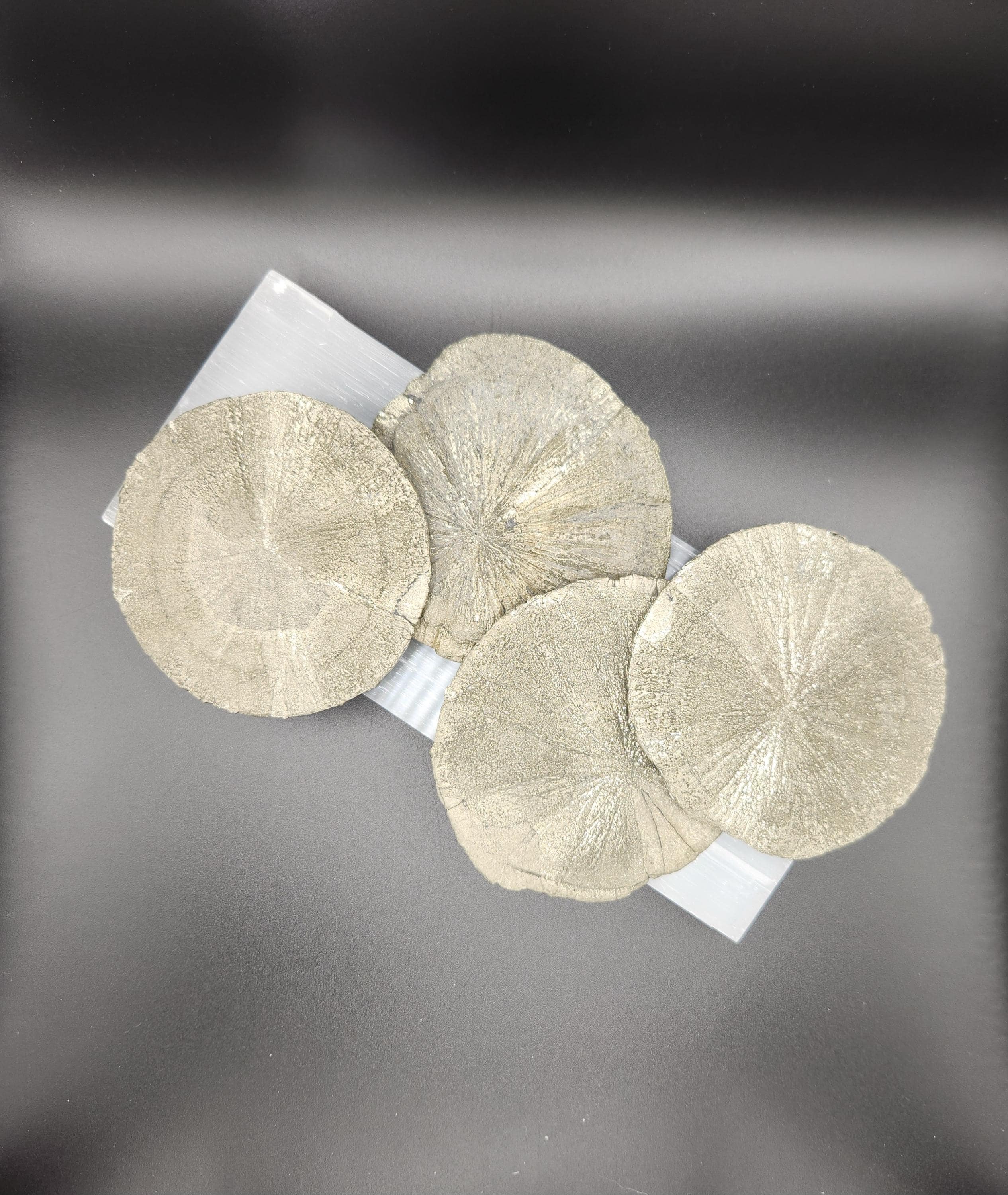 Pyrite Suns (choose Your Own) - Etsy