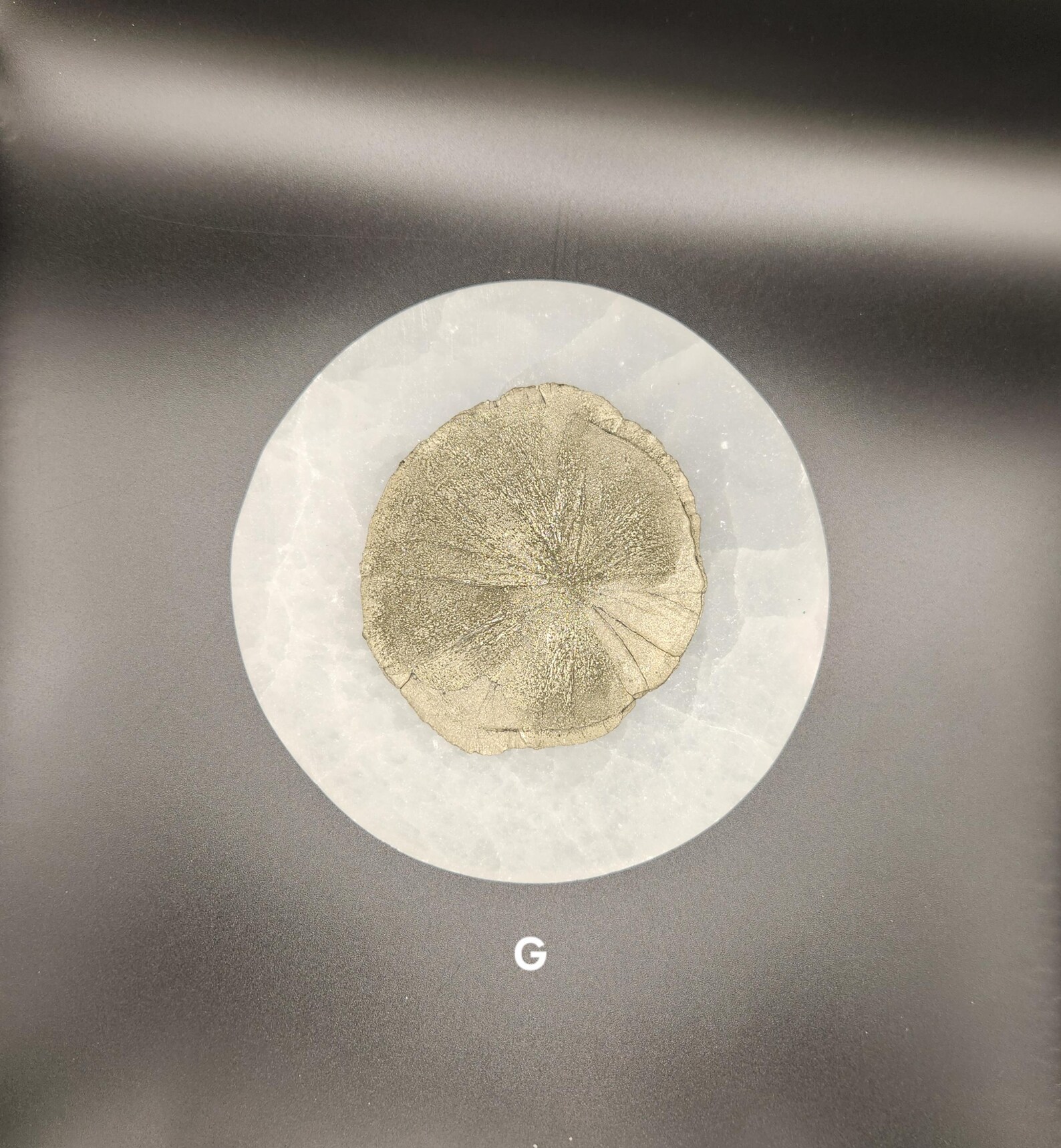 Pyrite Suns (choose Your Own) - Etsy