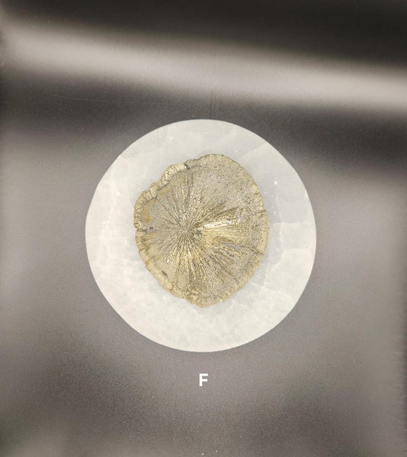 Pyrite Suns (choose Your Own) - Etsy