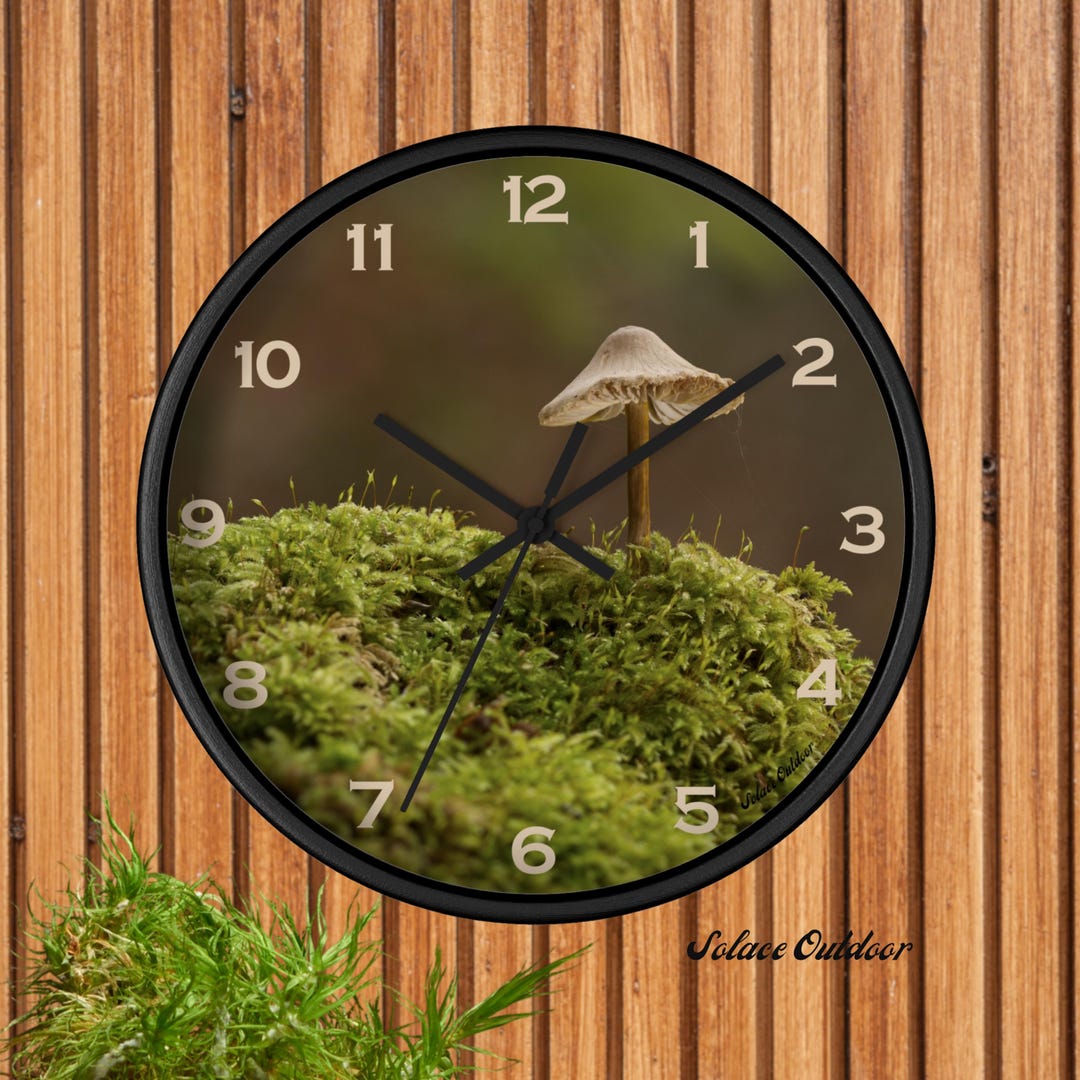 Live Moss Wall Art Clock Biophilic Wall Art Design Botanical Wall Clock ...