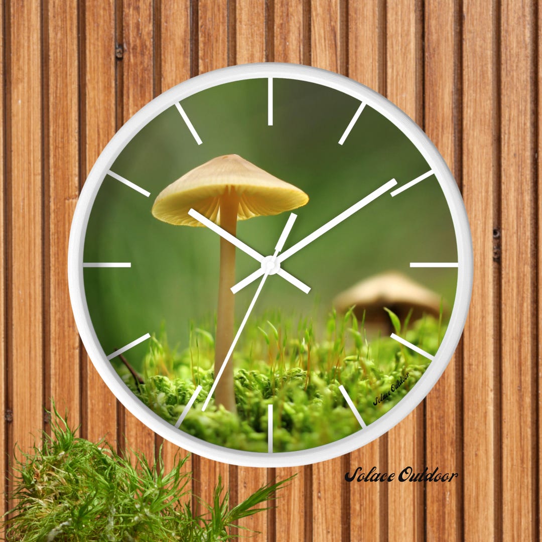 Live Moss Wall Art Clock Biophilic Wall Art Fungi Botanical Wall Clock ...