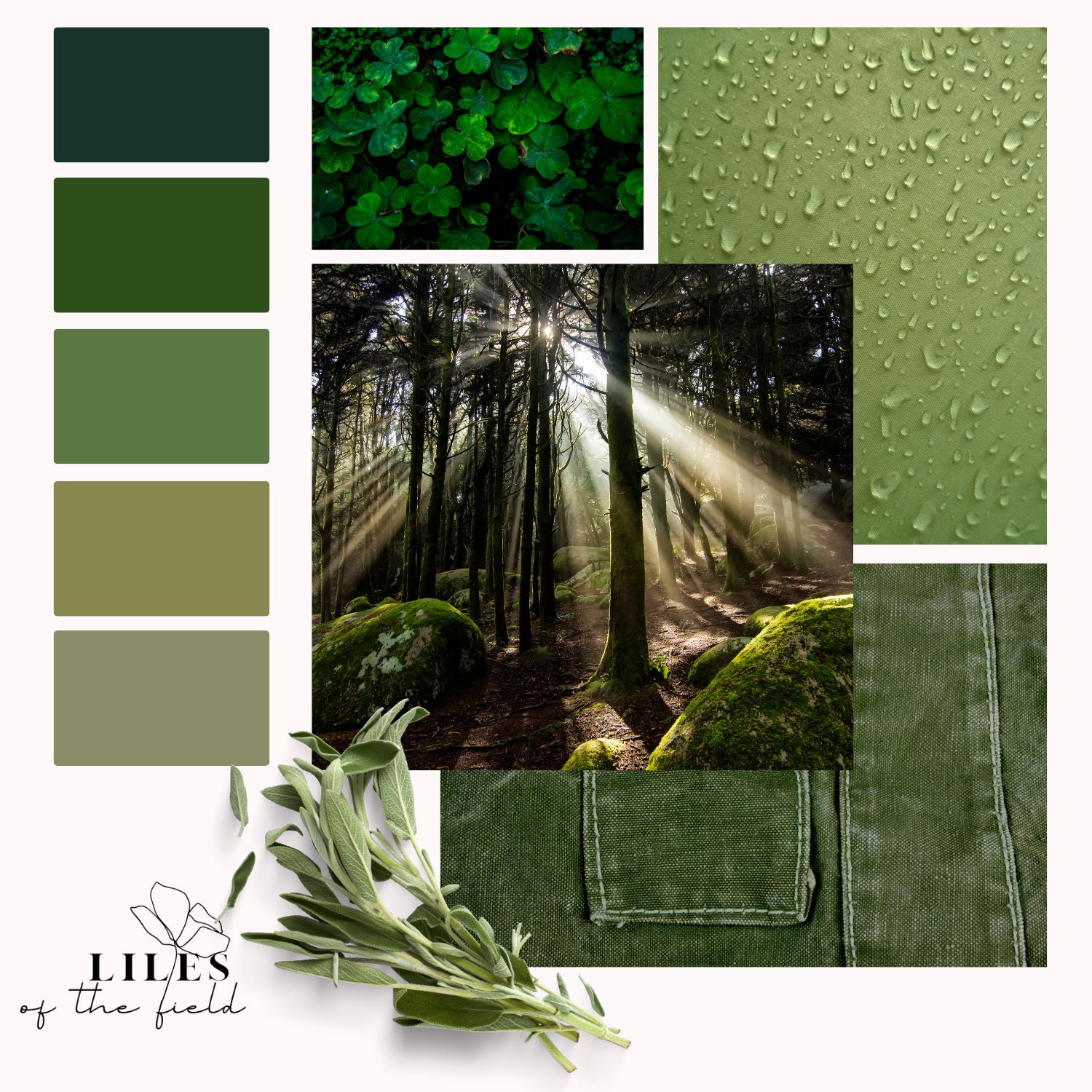 Premo Polymer Clay Colour Recipe, Forrest Greens, Polymer Clay Colour ...