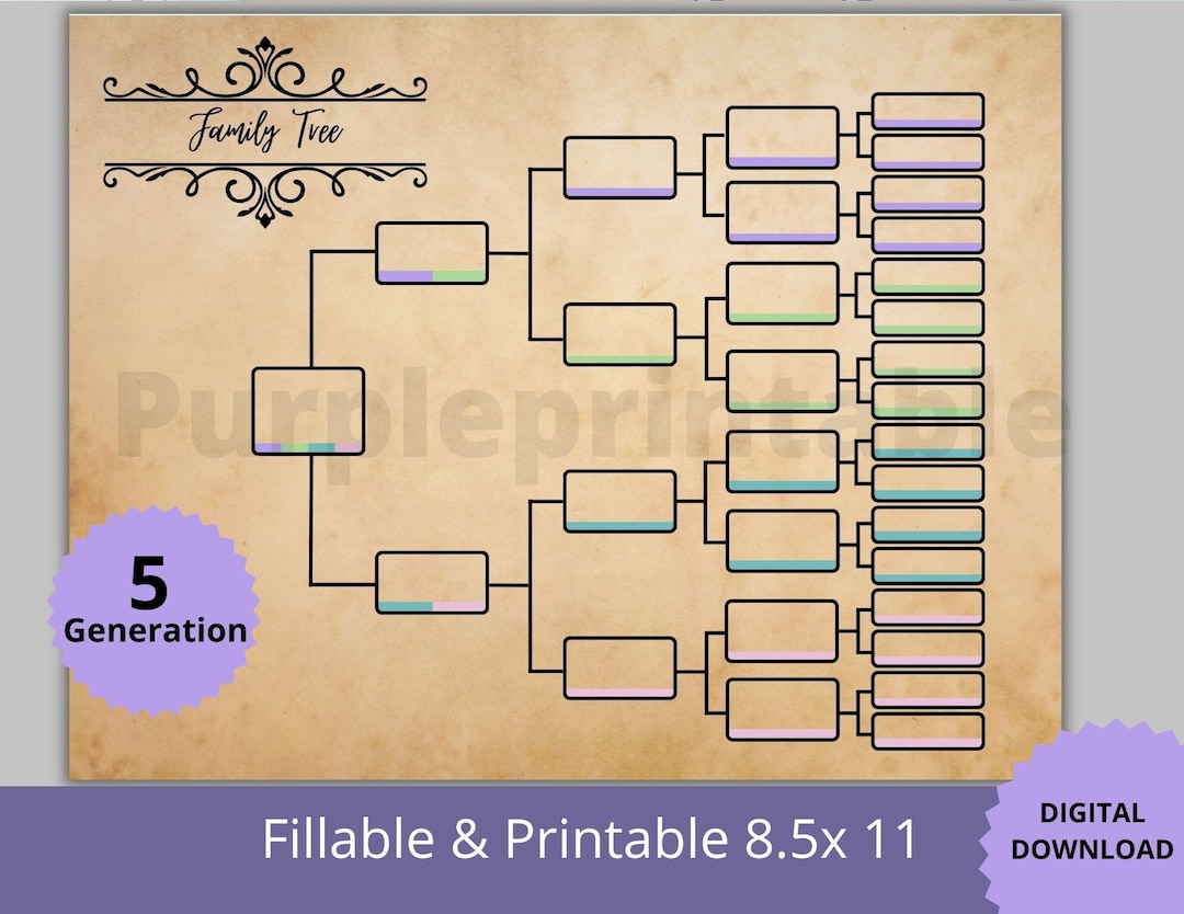 Pedigree Chart03 Color Coded /5 Generation Family Tree Chart Pedigree Chart Genealogy Template ...