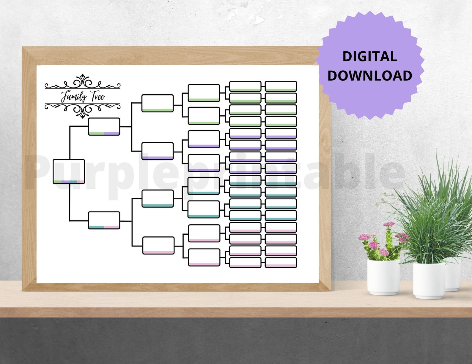 Pedigree Chart03 Color Coded /6 Generation Family Tree Chart Pedigree ...