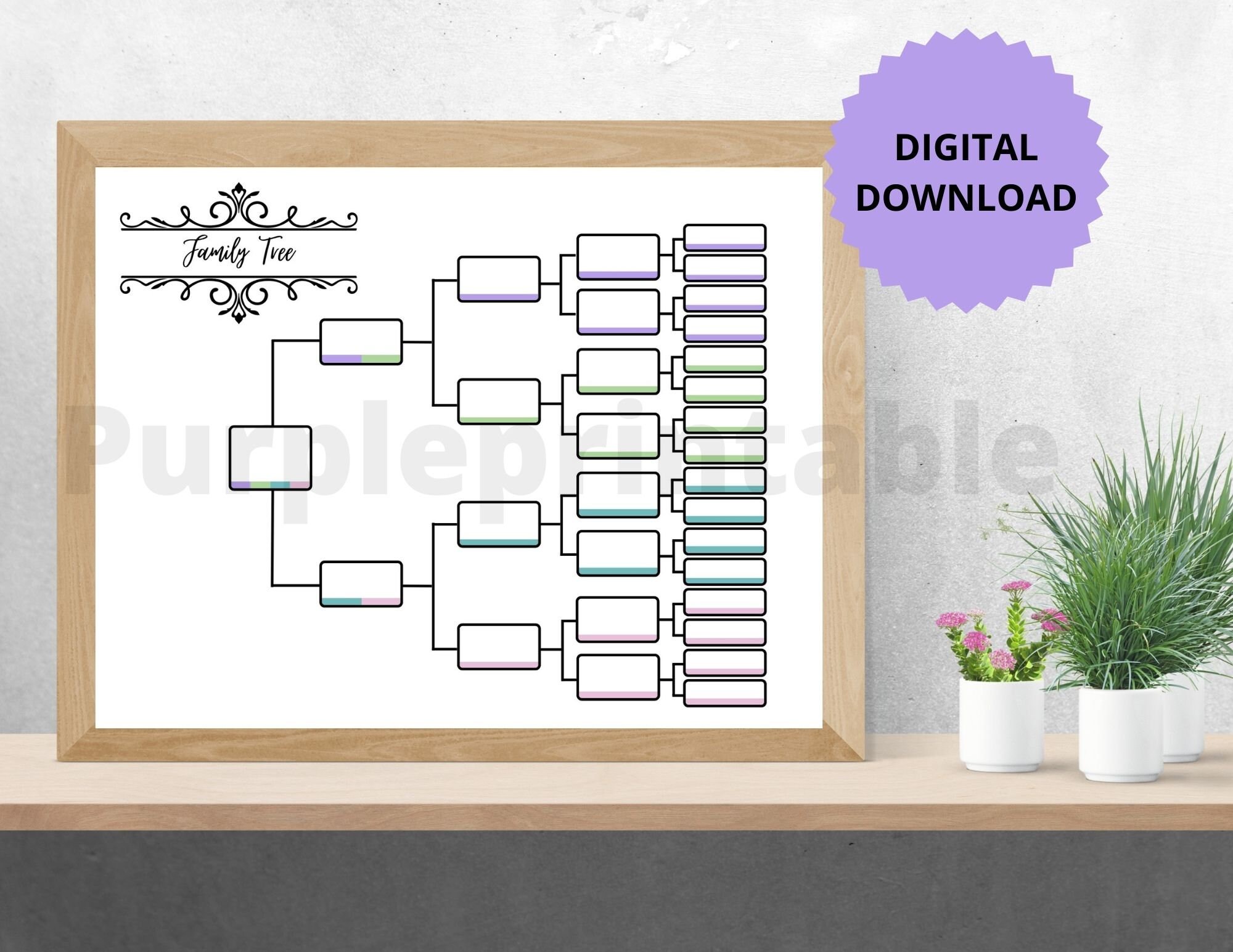 Pedigree Chart03 Color Coded /5 Generation Family Tree Chart Pedigree ...