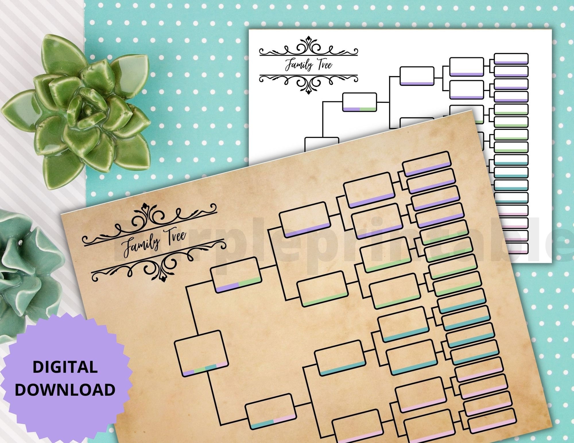 Pedigree Chart03 Color Coded /5 Generation Family Tree Chart Pedigree ...
