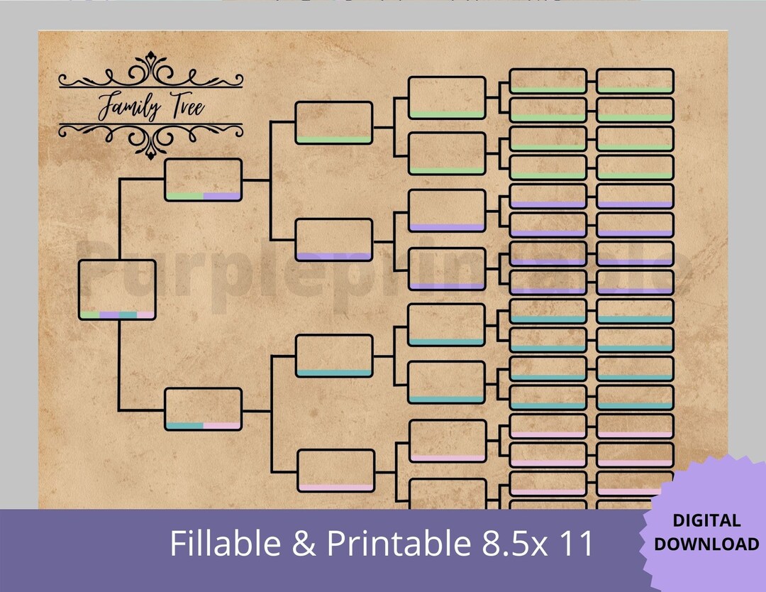 Pedigree Chart03 Color Coded /6 Generation Family Tree Chart Pedigree ...