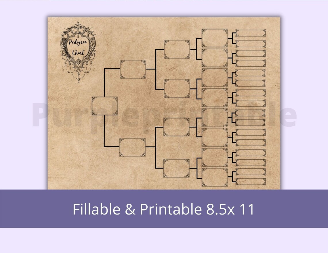 Pedigree Chart1 01/ancestral Chart PRINTABLE AND Fillabe/family Tree ...