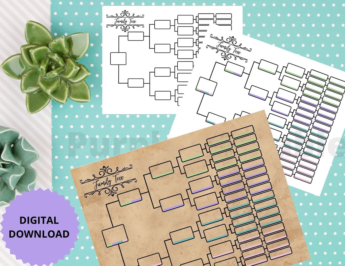 Pedigree Chart03 Color Coded /6 Generation Family Tree Chart Pedigree ...