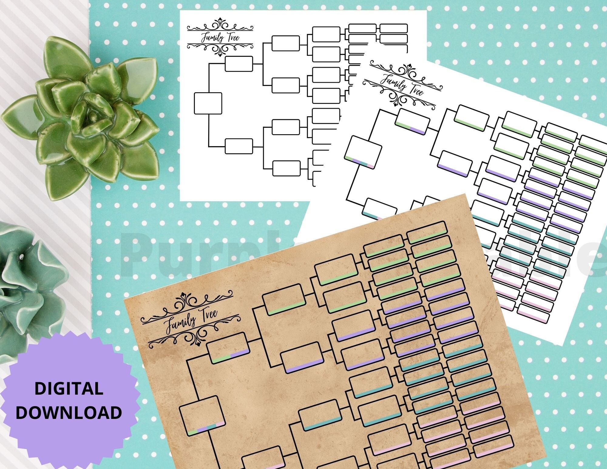 Pedigree Chart03 Color Coded /6 Generation Family Tree Chart Pedigree ...