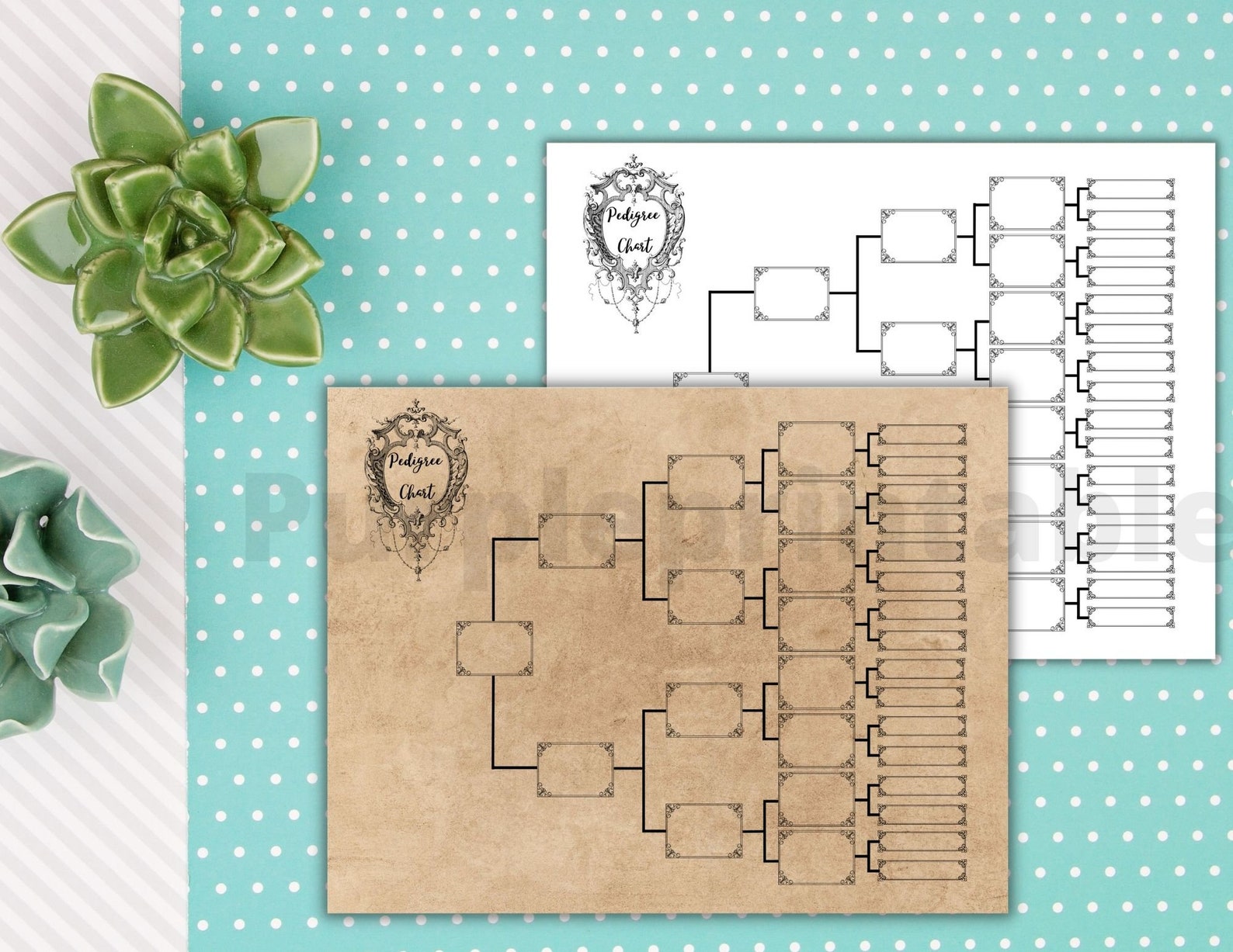 Pedigree Chart1 01/ancestral Chart PRINTABLE AND Fillabe/family Tree ...