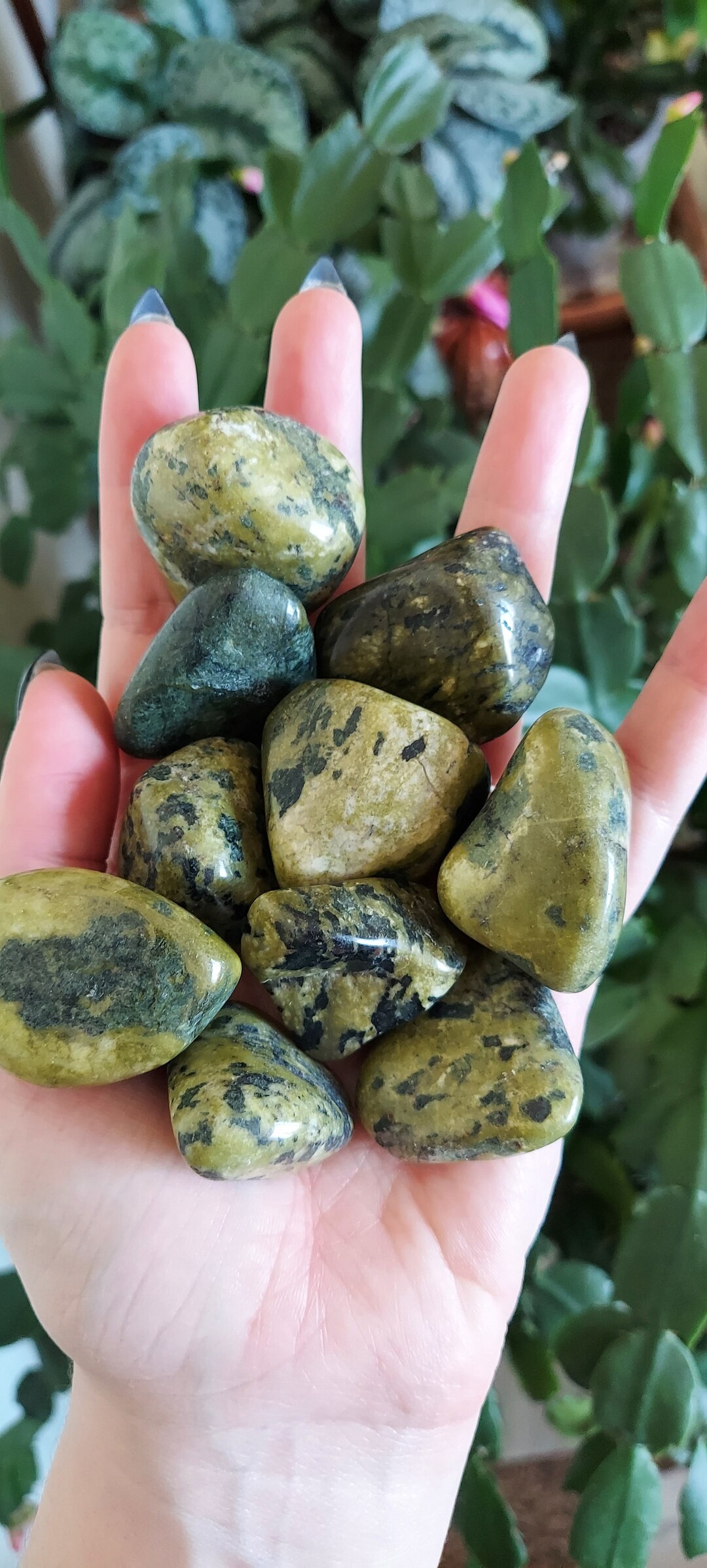 Large Serpentine Tumbles, Crystal Tumbles, Serpentine, Metaphysical ...