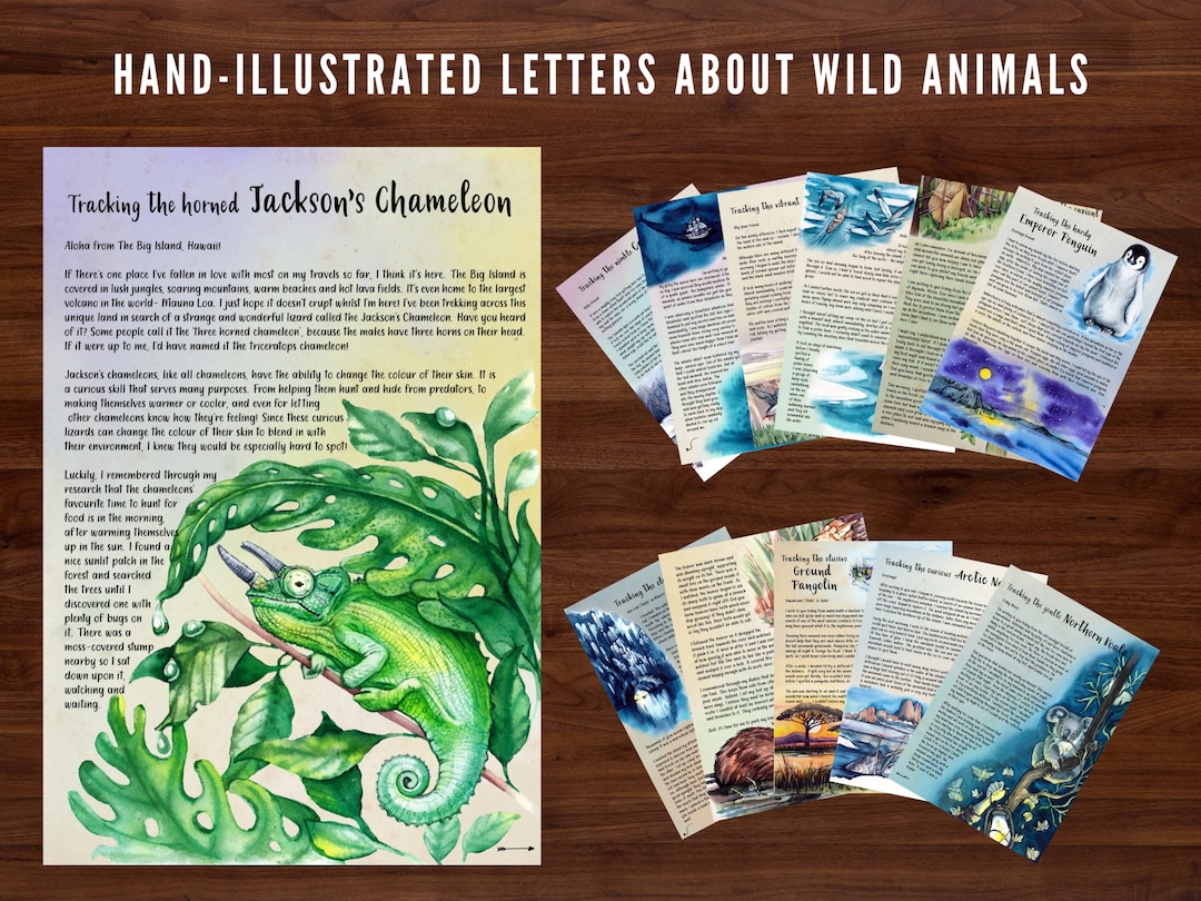 Illustrated Letters/animals/biology Prints/homeschool Printables ...