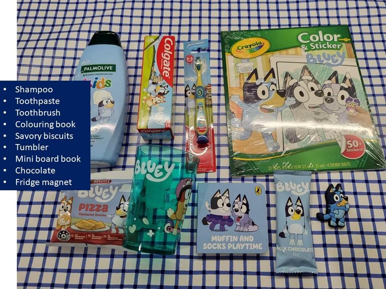 Bluey Christmas Gift Bag | Bluey Self Care Bathroom Present | 2-5 Year ...