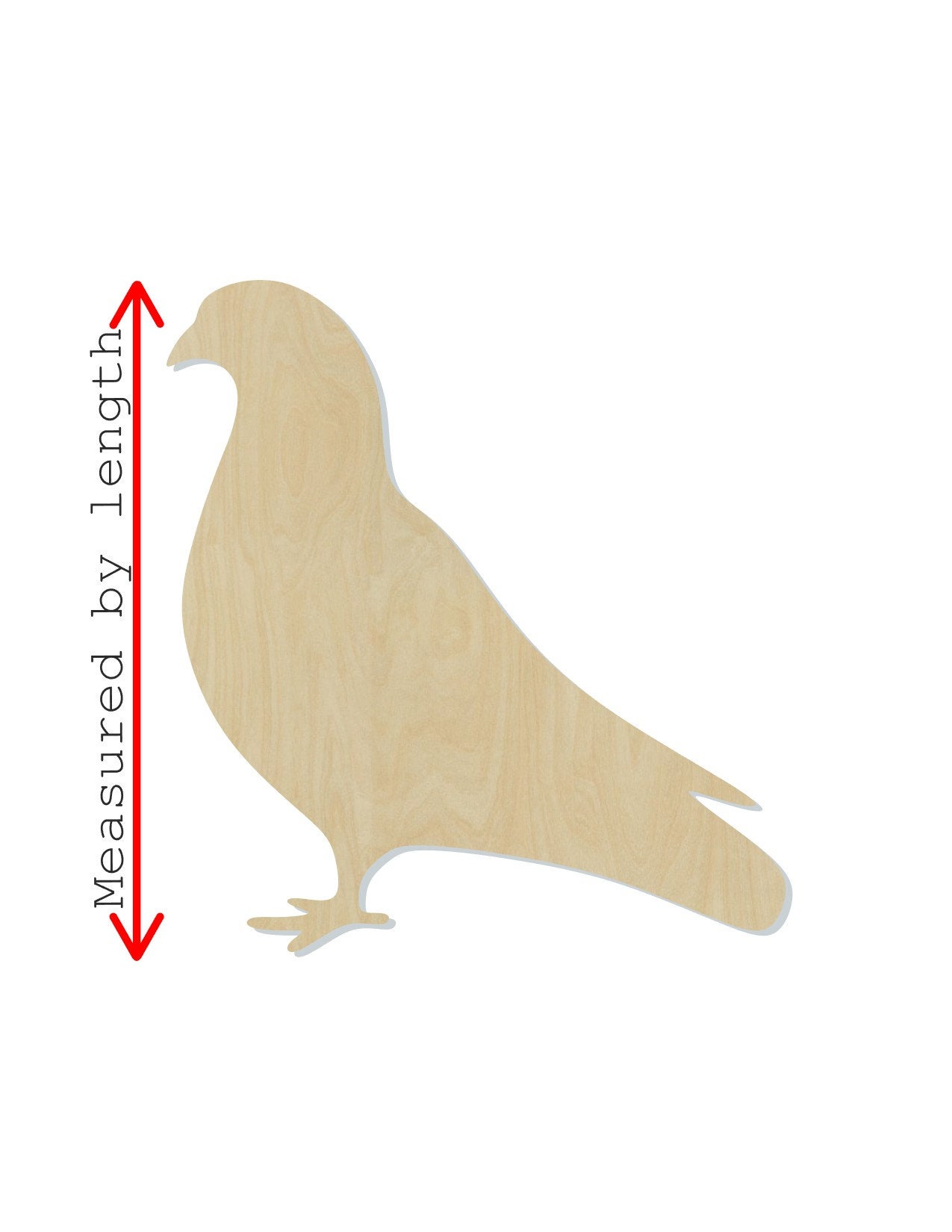 Pigeon Bird Zoo Animals Birds Animal Wood Shape Cutout 1847 Wood ...