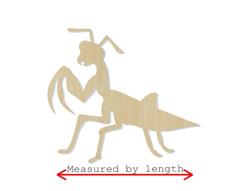 Mantis religiosa Insecto Insecto Zoológico Animal Madera Forma Recorte ...