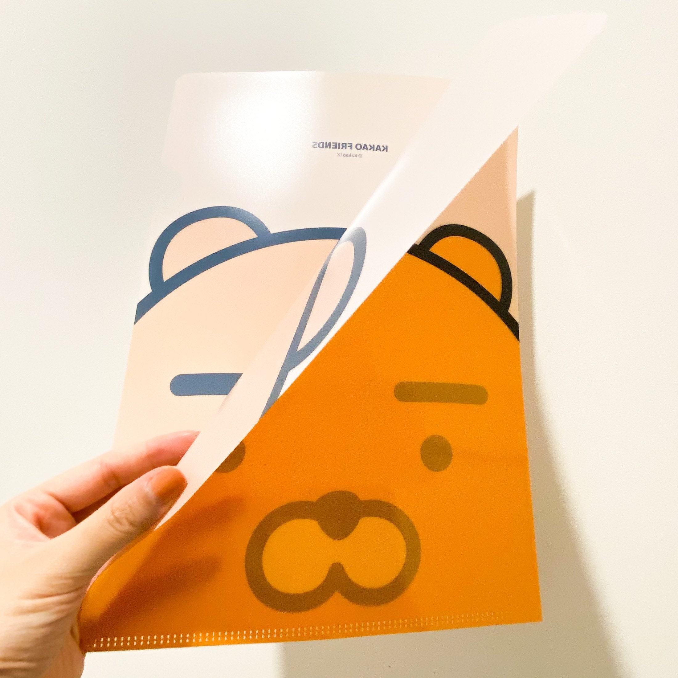 Korea Kakao Friends Ryan Lion A4 Doc File Folder Perfect Organise ...