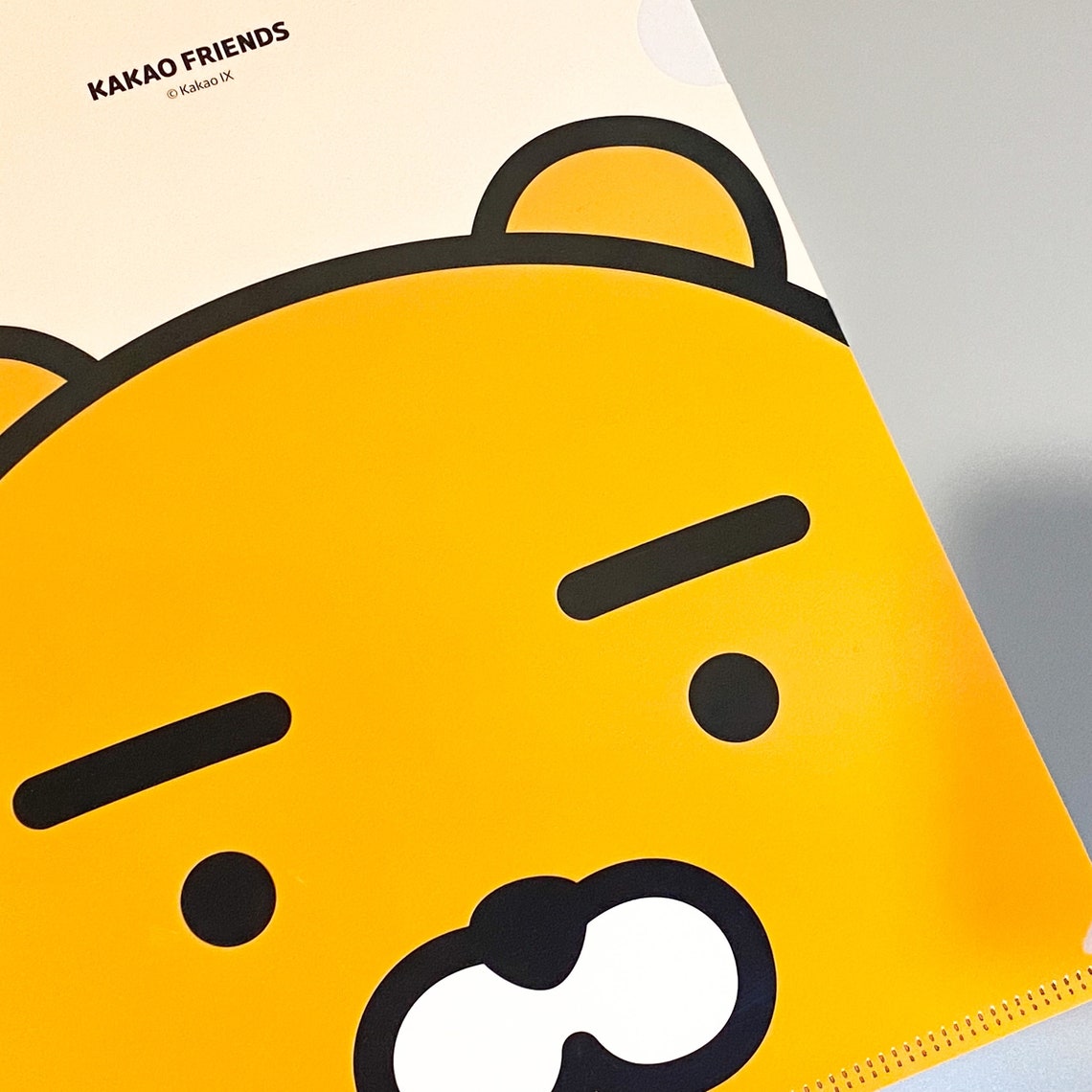 Korea Kakao Friends Ryan Lion A4 Doc File Folder Perfect Organise ...