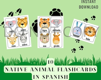Spanish Fruits Flashcards Printable | Preschool Homeschool Classroom ...