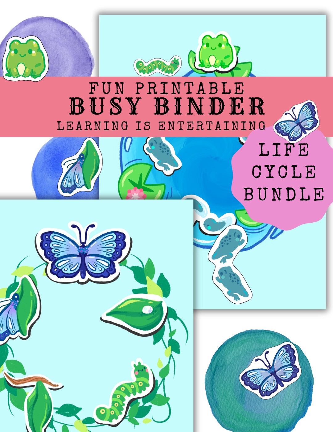 Butterfly & Frog Life Cycle Printable: Homeschool Activity (PDF) - Etsy