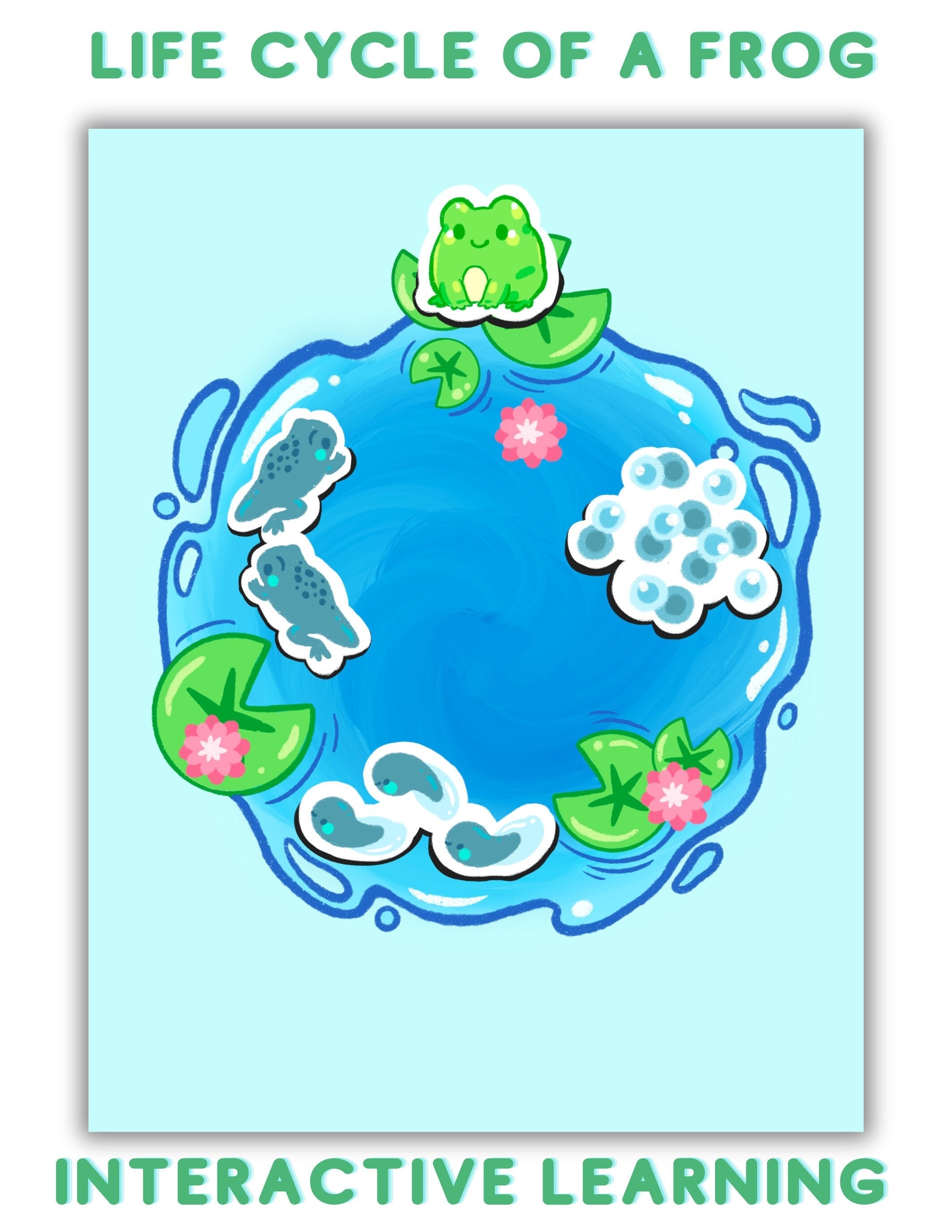 Frog Life Cycle Colorful Worksheet for Kids Homeschool Printable ...