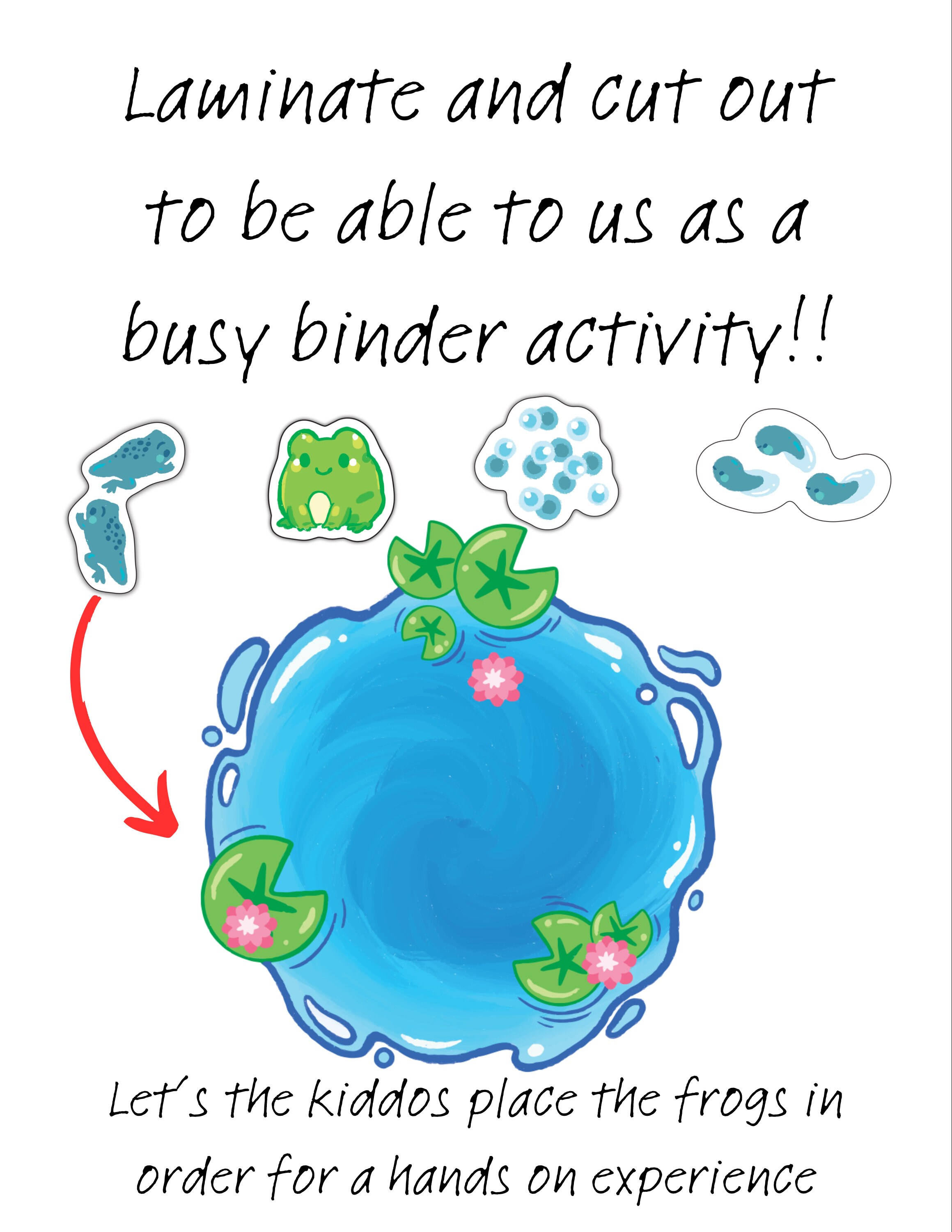 Frog Life Cycle Colorful Worksheet for Kids Homeschool Printable ...