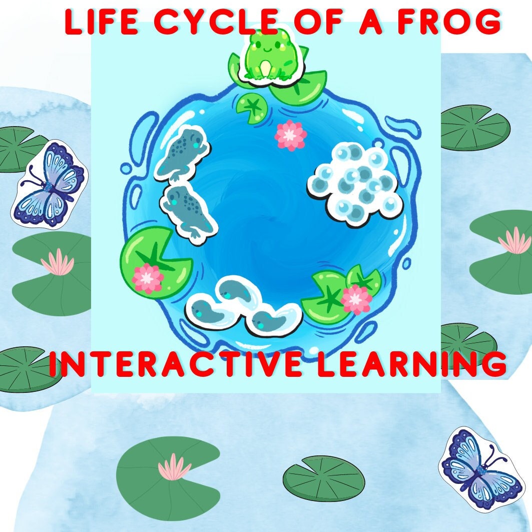 Life Cycle Busy Book Toddler Busy Binder Homeschool Curriculum Nature ...