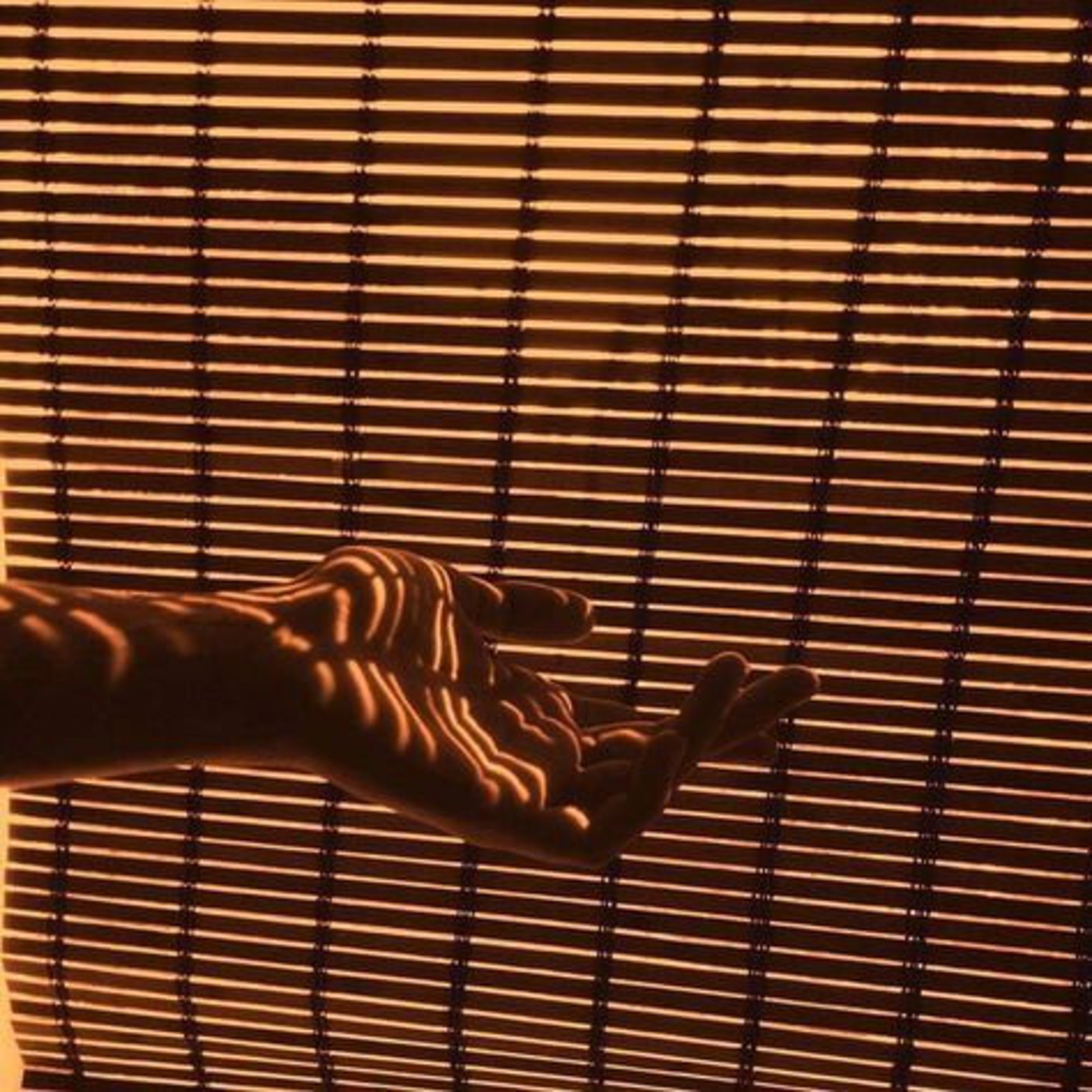 80 Brown Wall Collage Kit Brown Collage Wall Art Brown Photo - Etsy