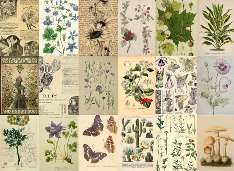 260 PCS - Vintage Posters - Botanical Prints - Wall Collage Kit ...
