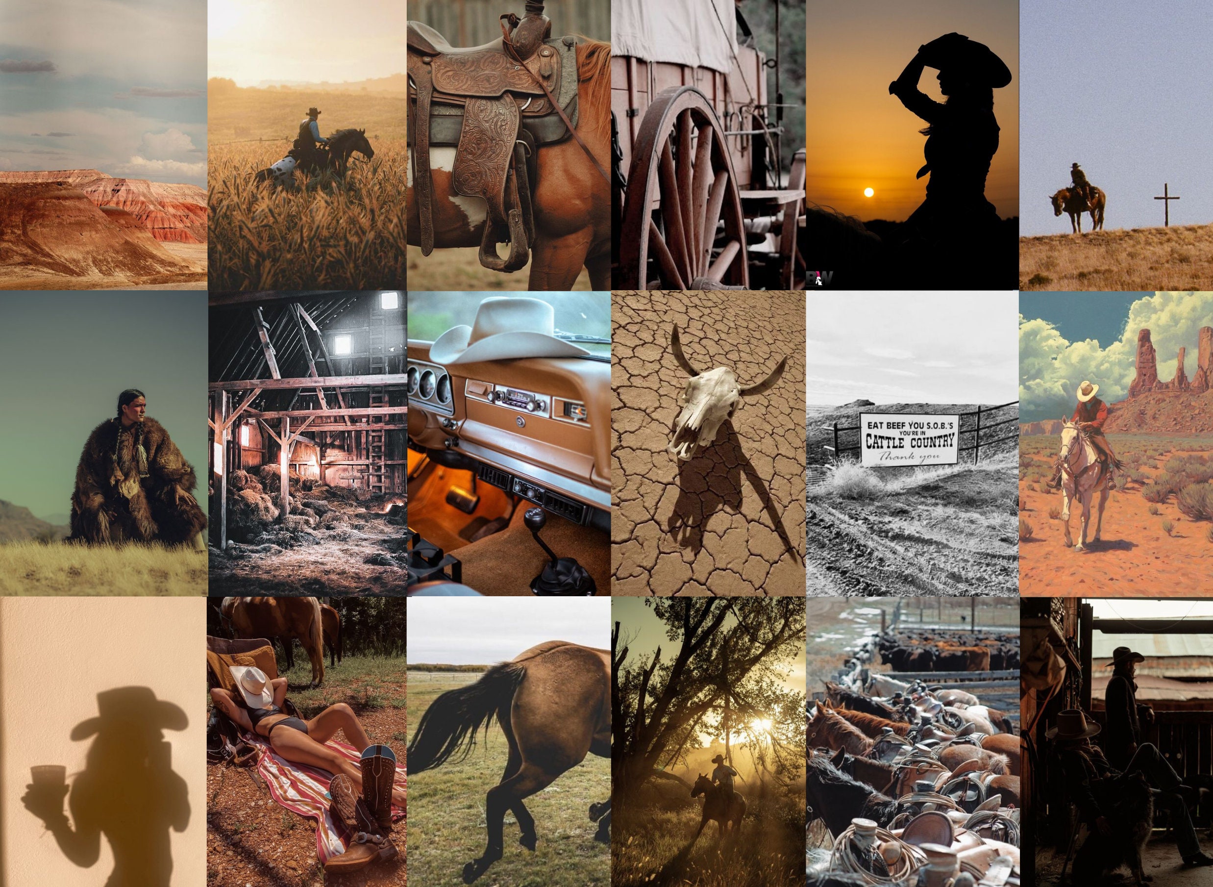 150 Western Aesthetic Wall Collage - Cowgirl Western Collage Kit - Old ...
