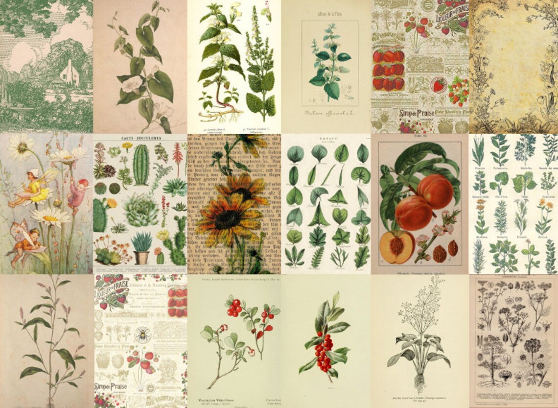 260 PCS Vintage Posters Botanical Prints Wall Collage - Etsy