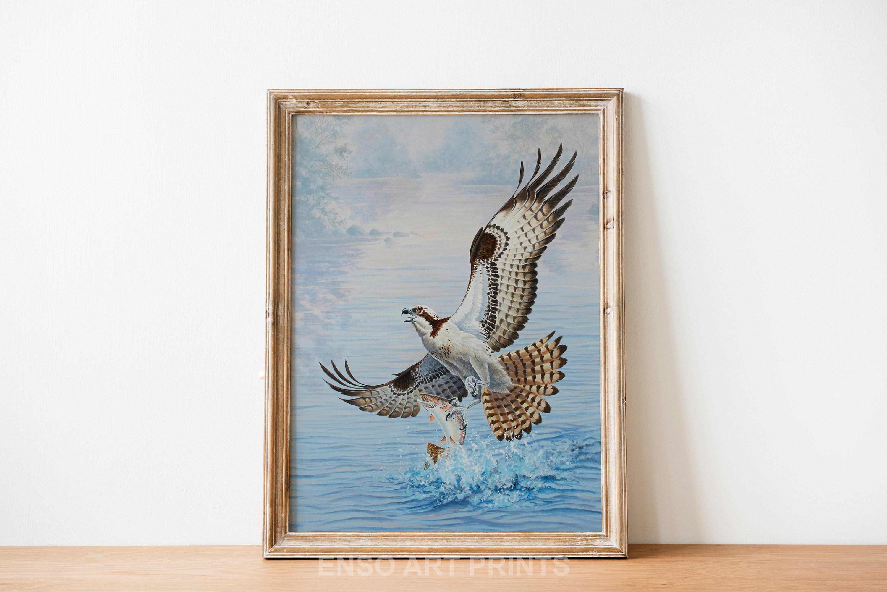 Eagle Catching Fish Art