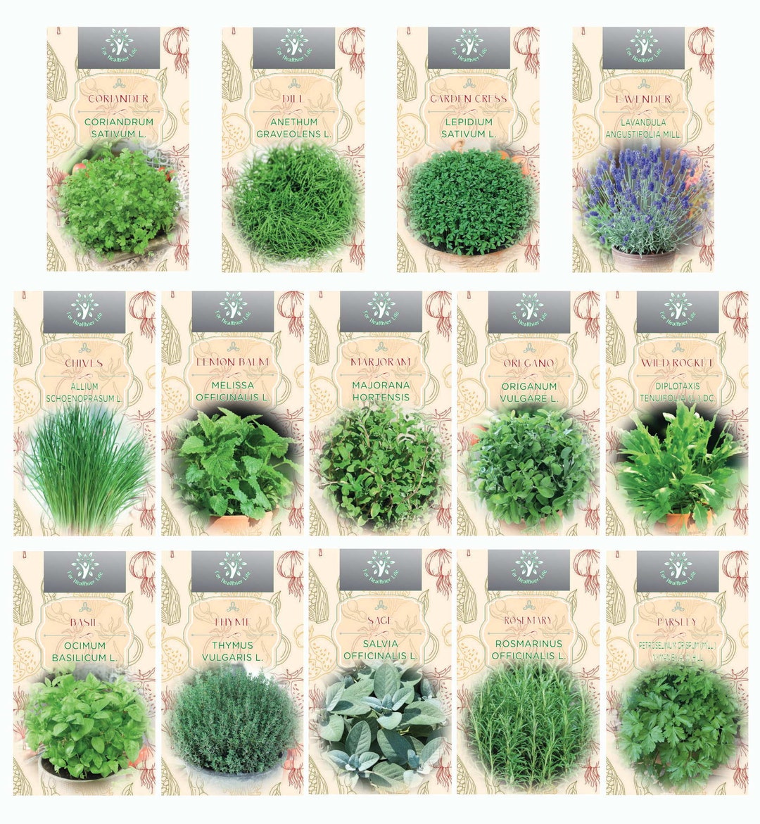 14 Premium Indoor Herb Seed Collection Gift Fresh Kitchen Herbs, High ...
