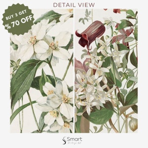 Vintage Flower Prints,printable Minimalist Botanical Art,floral Gallery ...