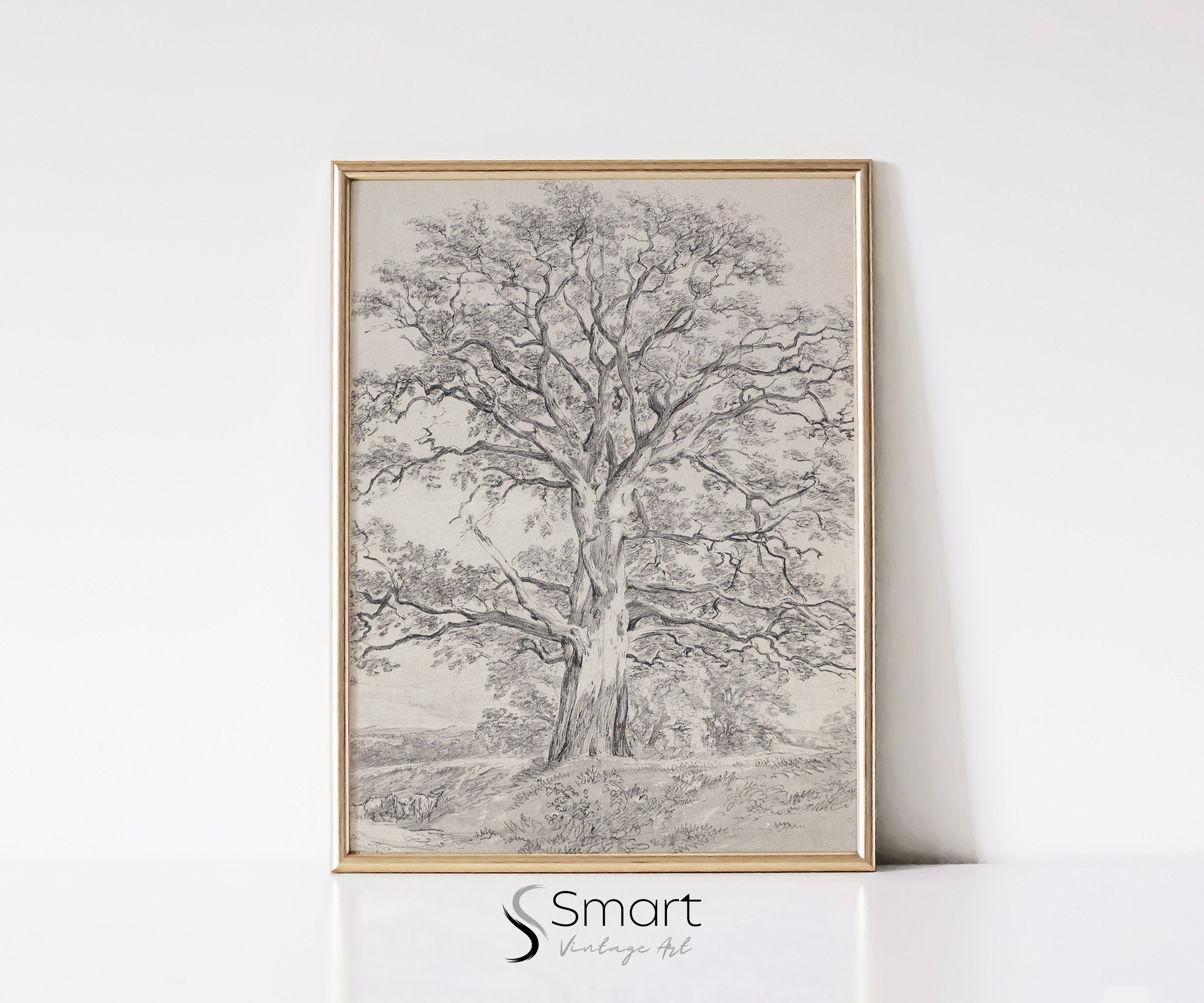 Vintage Tree Sketch,oak Tree Drawing,botanical Sketch Print,tree ...