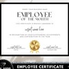 10 Employee Certificate Templates, INSTANT DOWNLOAD, Printable Awards ...