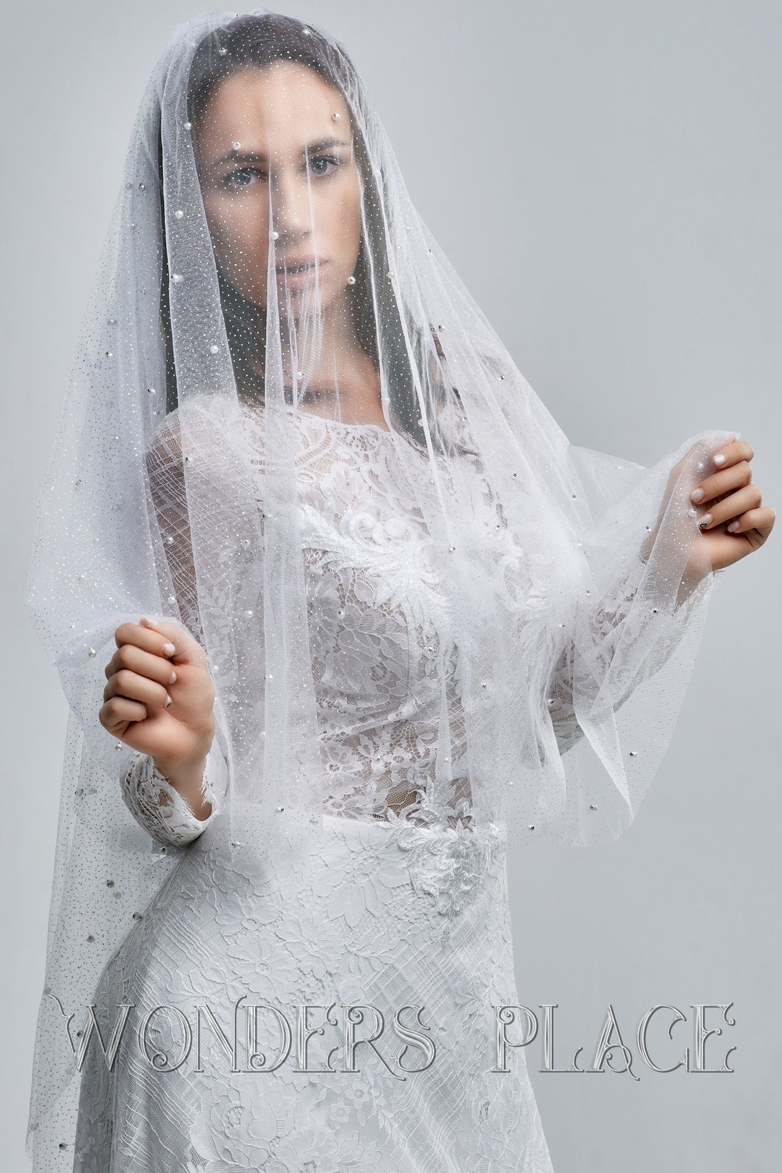 Crystal Embellished Veil, Sparkling Wedding Veil, Long Wedding Veil ...