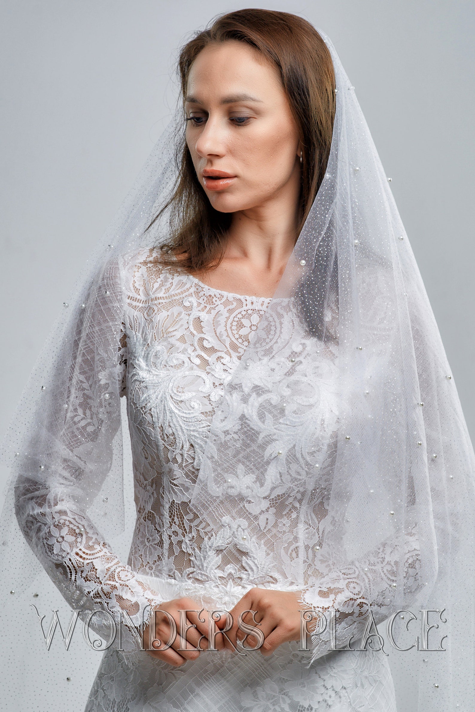 Crystal Embellished Veil, Sparkling Wedding Veil, Long Wedding Veil ...