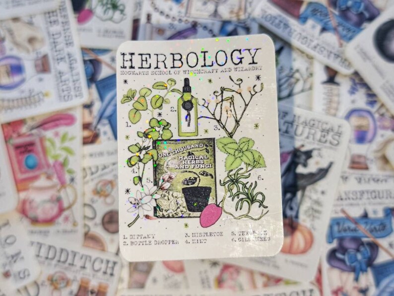 Wizard Classes Chart Stickers Magic Wizarding World - Etsy