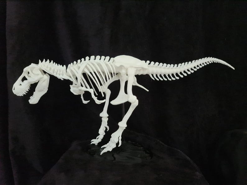 T-rex Skeleton- Dinosaur Art- 3D Printed - Home Decor - Etsy