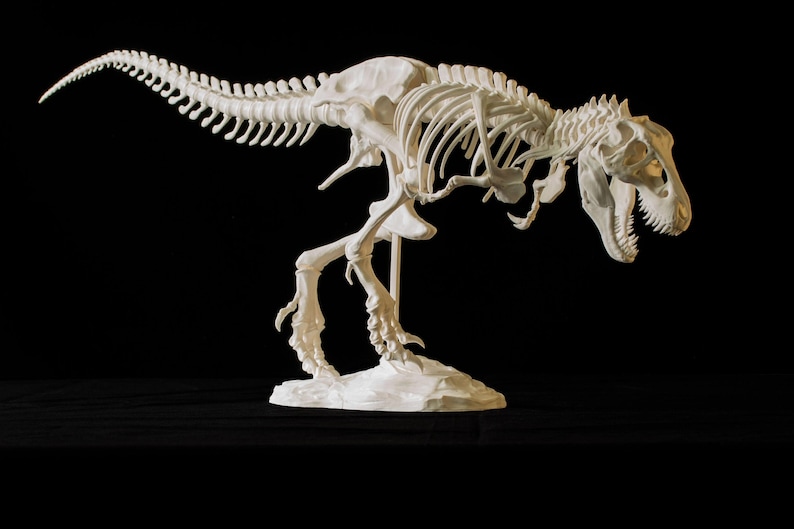 T-rex Skeleton- Dinosaur Art- 3D Printed - Home Decor - Etsy